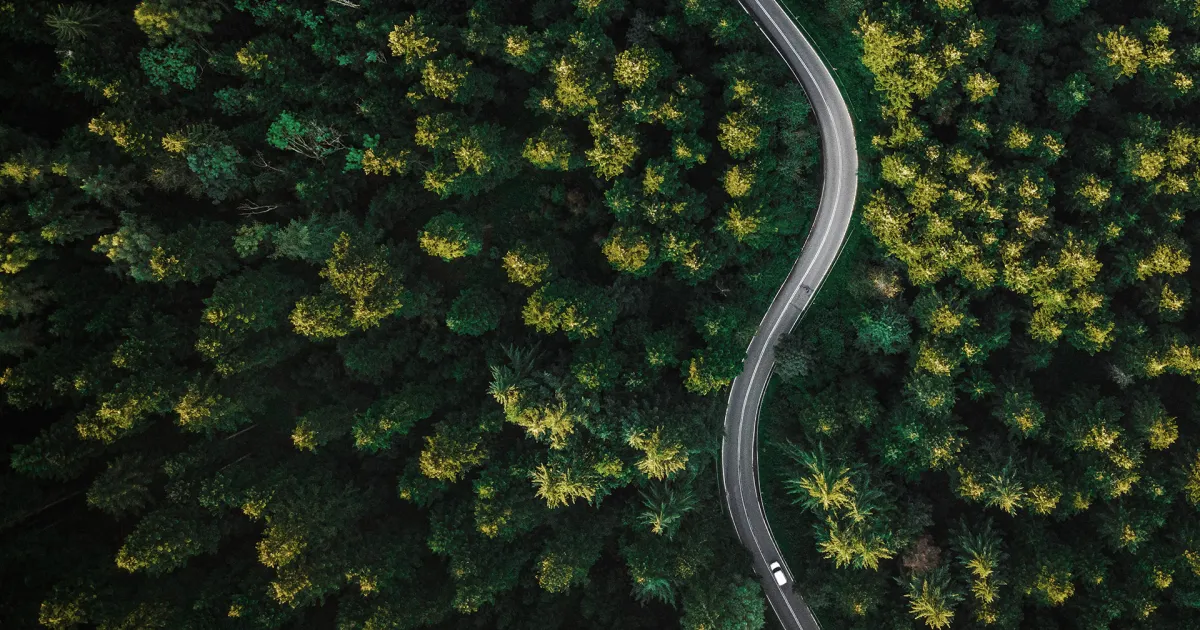 GreenGroup launches Its first sustainability report: Analyzing the ...